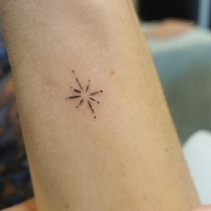 2-daagse Fine line tattoo training - Nouveau Contour